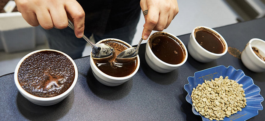 Advanced Professional Barista Coffee Experience – WA Barista Training Lab